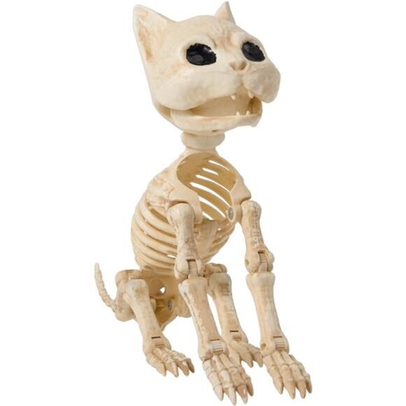Wall Decor | Cat Skeleton Halloween Decorations 8 Inch Plastic Animal ...
